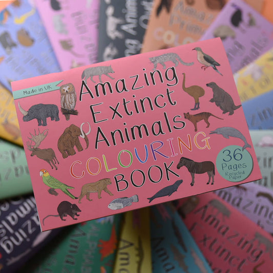 Creative Colouring Books | Forget Me Not And Green